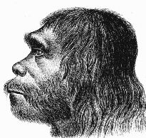 Earliest Cave Paintings Made by Neanderthals | RealClearScience