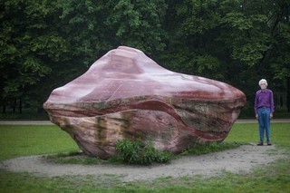 Pyura Chilensis, the Living Rock | RealClearScience