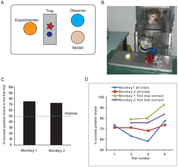 Monkey See, Monkey Learn from Humans | RealClearScience