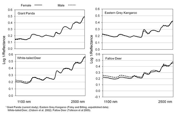 Panda Feces Reveals Its Secrets | RealClearScience