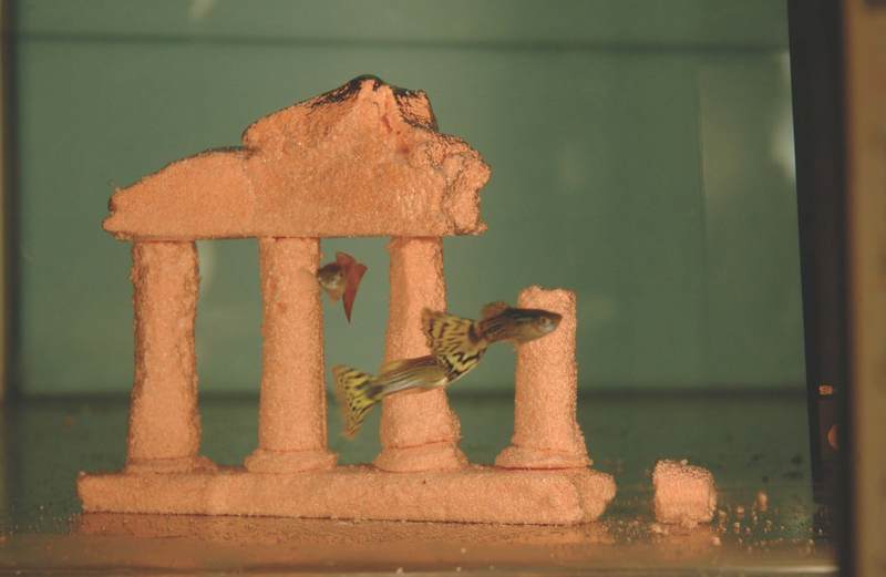 How to Construct the Perfect Sand Castle | RealClearScience