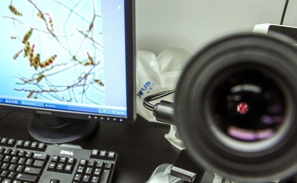 Logic Circuit Built Using Bacterial Genes | RealClearScience