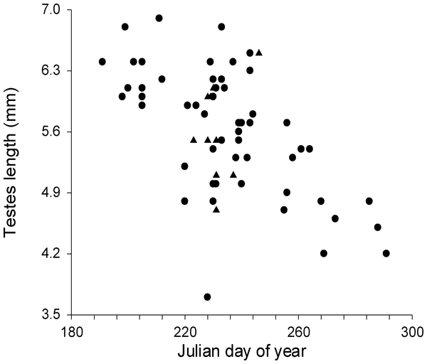 Do Wind Turbines Endanger Frisky Bats? | RealClearScience