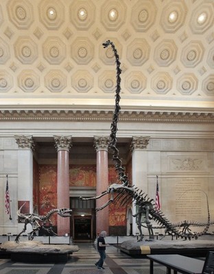 Forget Extinct: The Brontosaurus Never Even Existed | RealClearScience