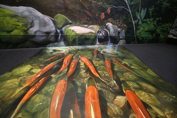 Fish Evolved to Climb Waterfalls with Its Mouth | RealClearScience