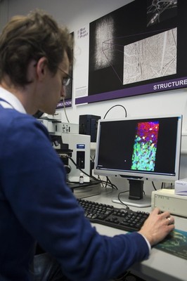 Is the Claustrum the Key to Consciousness? | RealClearScience