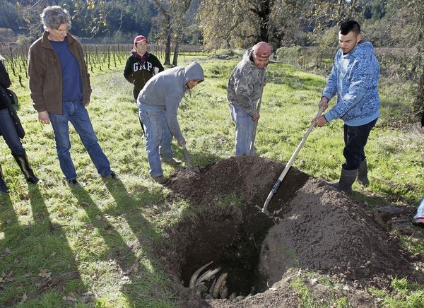 Can You Eat Your Own Poop? Scientists Answer. | RealClearScience