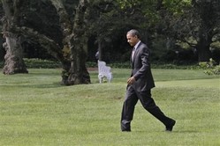 Record Low Approvals for Obama in Gallup | RealClearPolitics