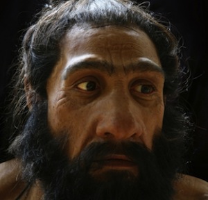 Why Were Neanderthals' Noses So Big? | RealClearScience